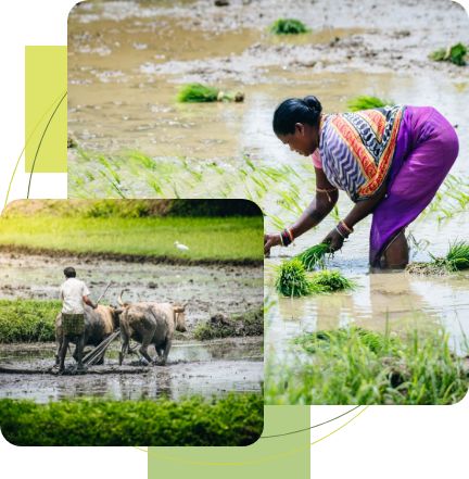 Krushak Odisha Portal